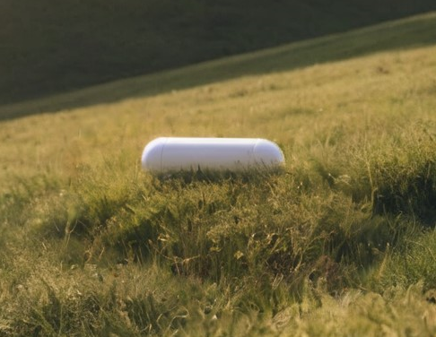 Whitepill Wisdom Wiki